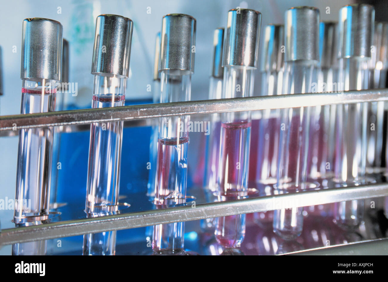 test samples for screening virus Stock Photo - Alamy