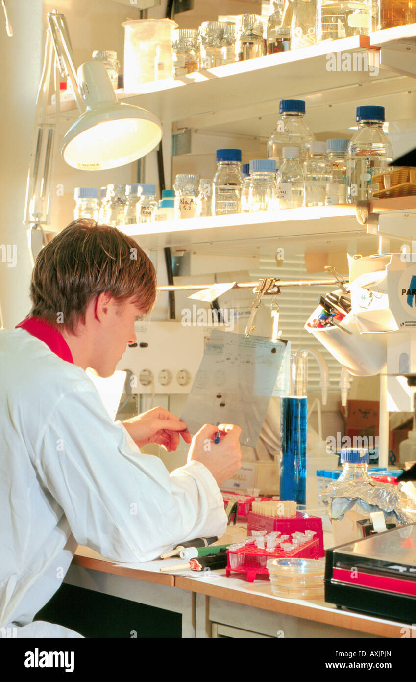 molecular biologist researcher in laboratory Stock Photo - Alamy