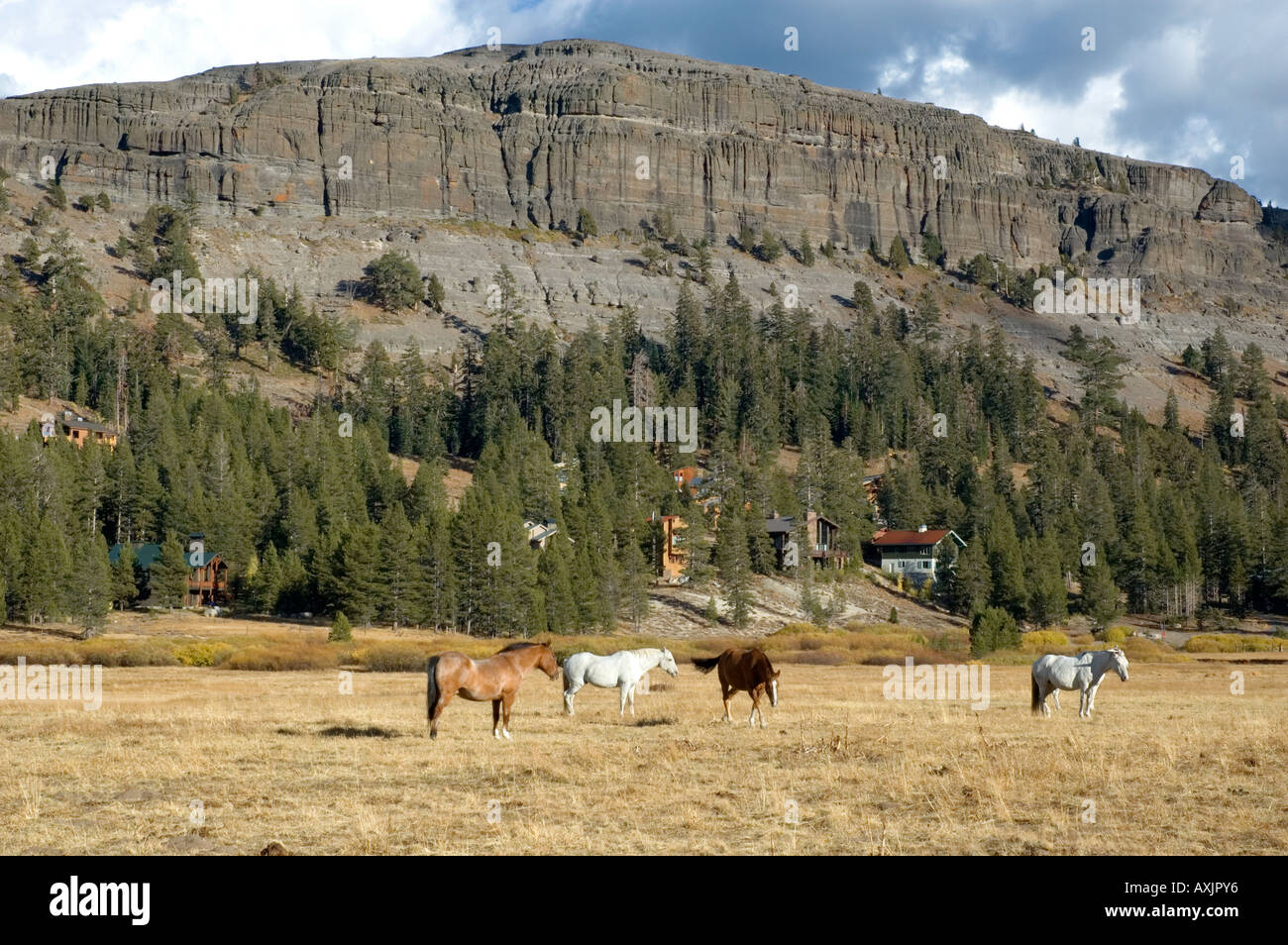 Kirkwood mountain resort hi-res stock photography and images - Alamy