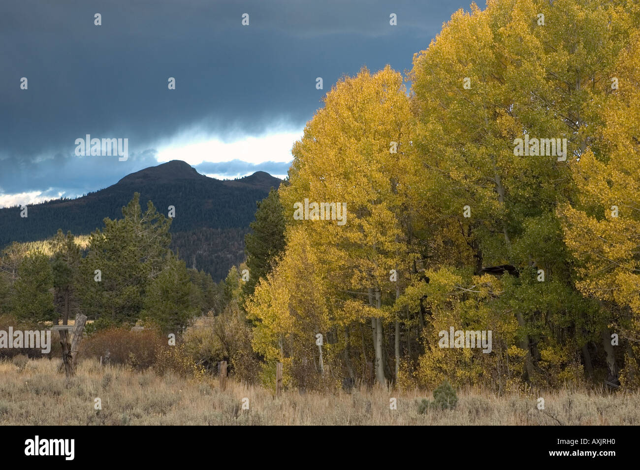 Hope valley nevada hi-res stock photography and images - Alamy