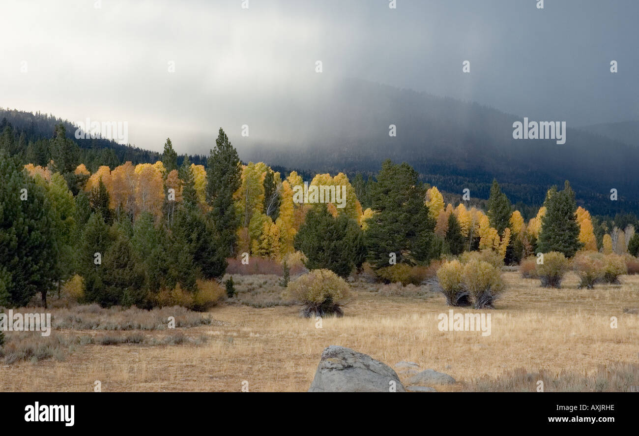 Hope valley nevada hi-res stock photography and images - Alamy