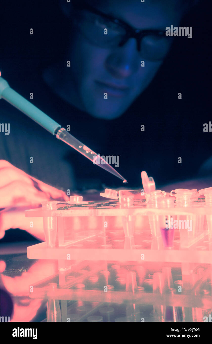 molecular biology scientist preparing test samples Stock Photo - Alamy
