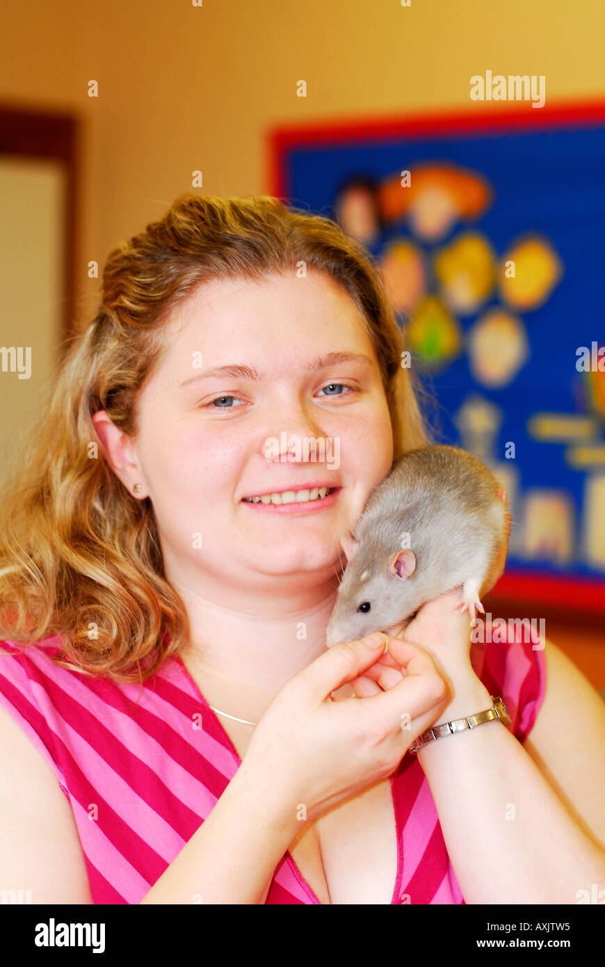 The North of England rat show Preston Stock Photo - Alamy