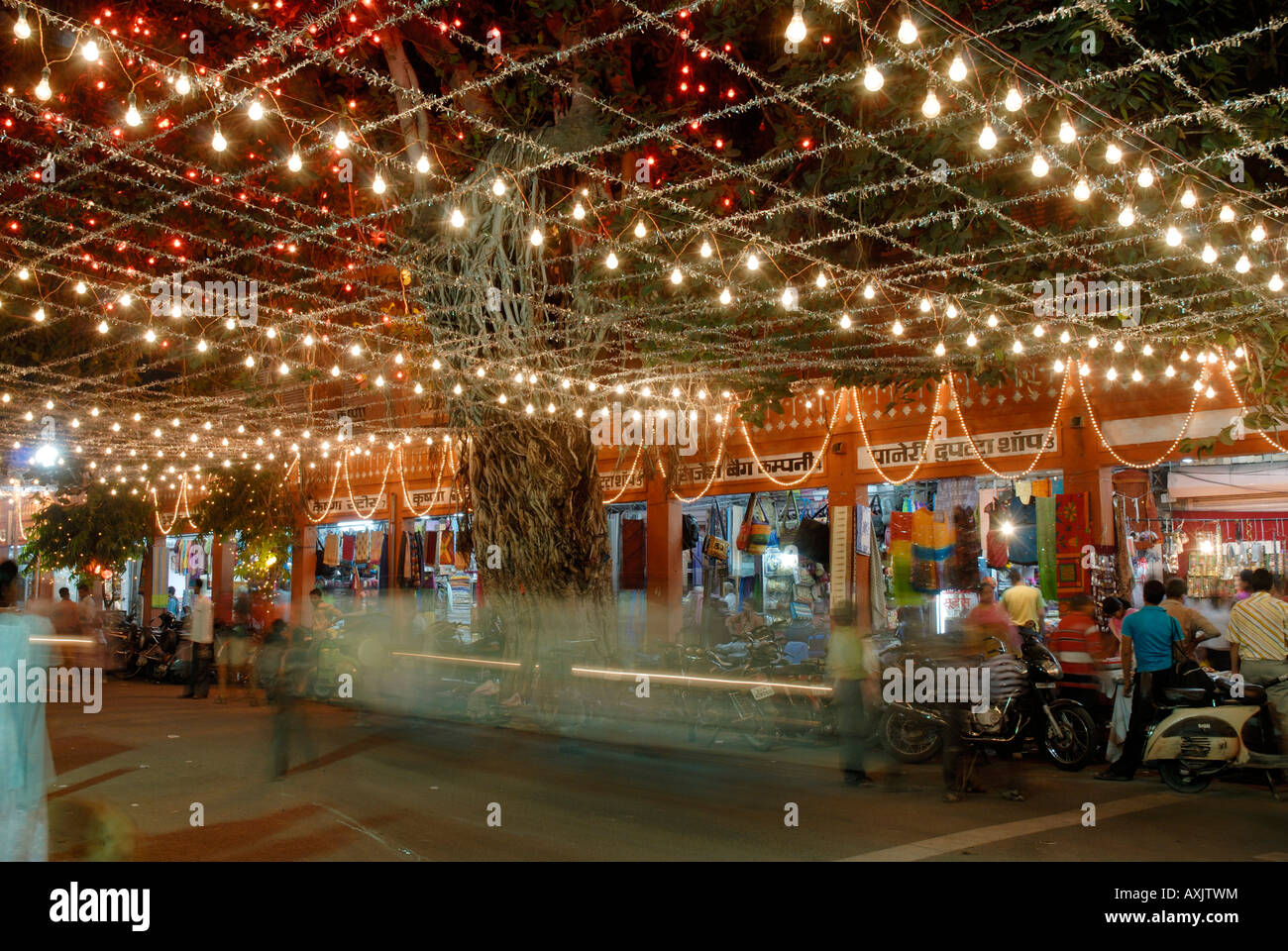 Colorful Diwali Street Lights at Night surrounding Banyan Tree in ...