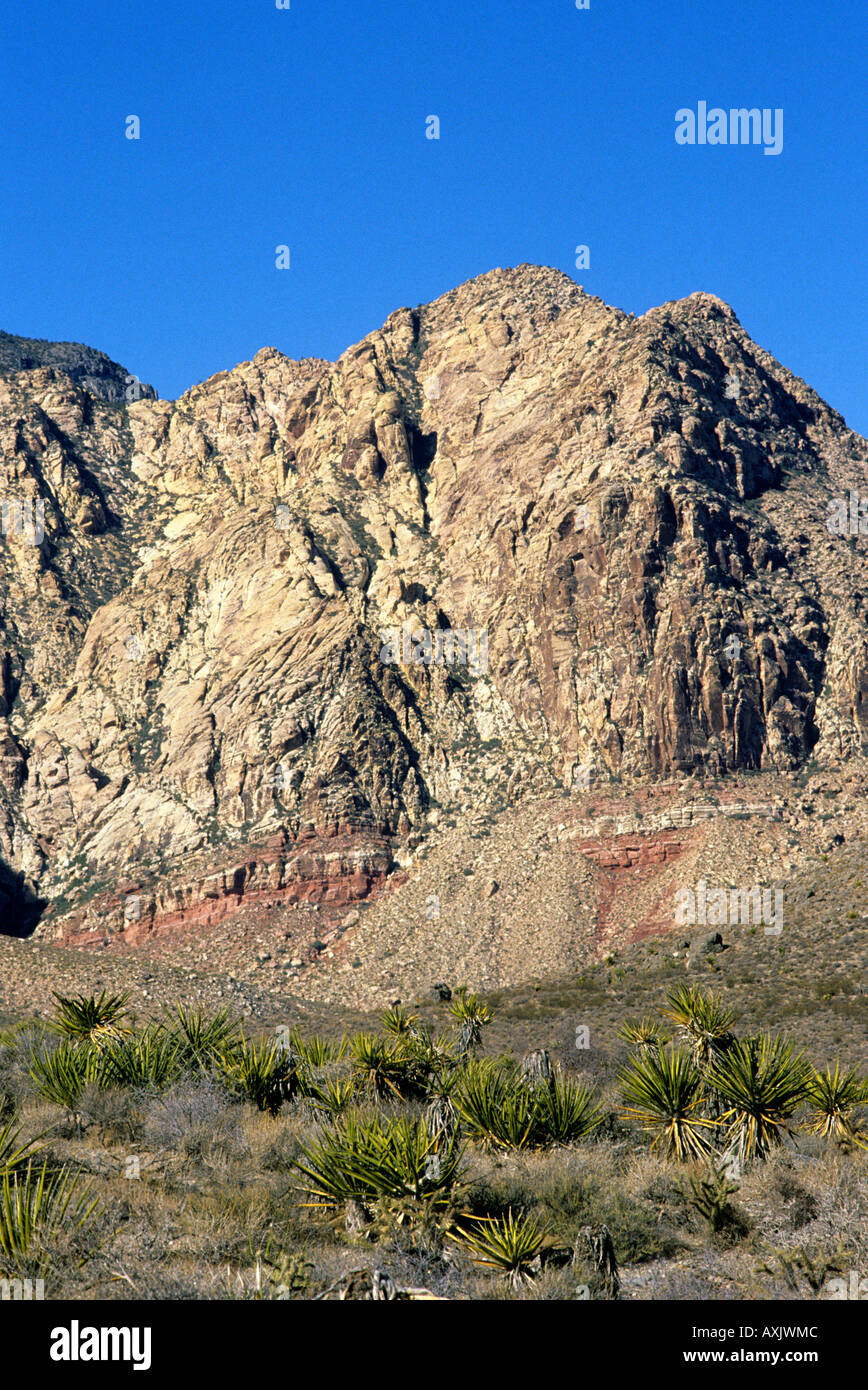 Rock formation sand and plants in the Arizona desert Stock Photo - Alamy