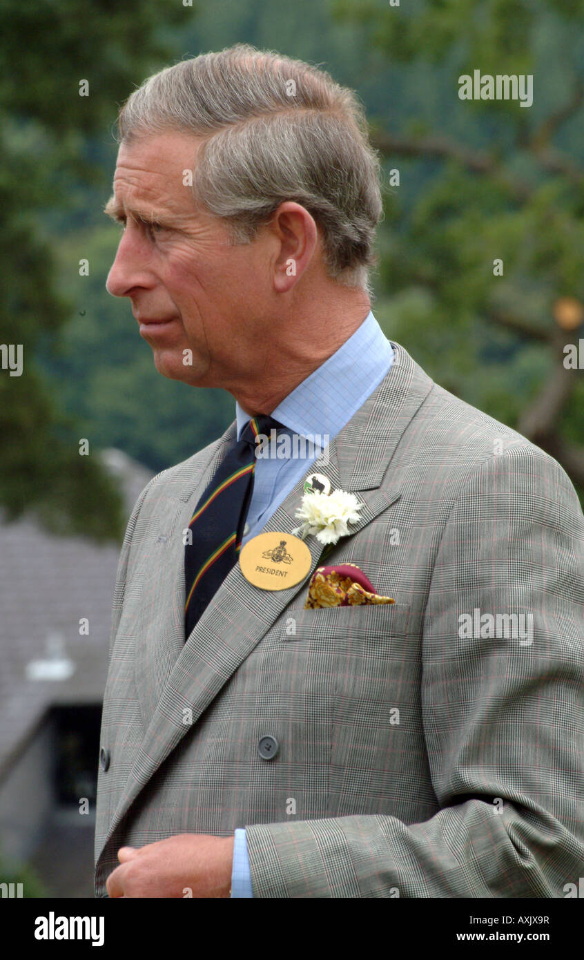 Portrait shot of HRH Charles Prince of Wales giving a speech Stock ...
