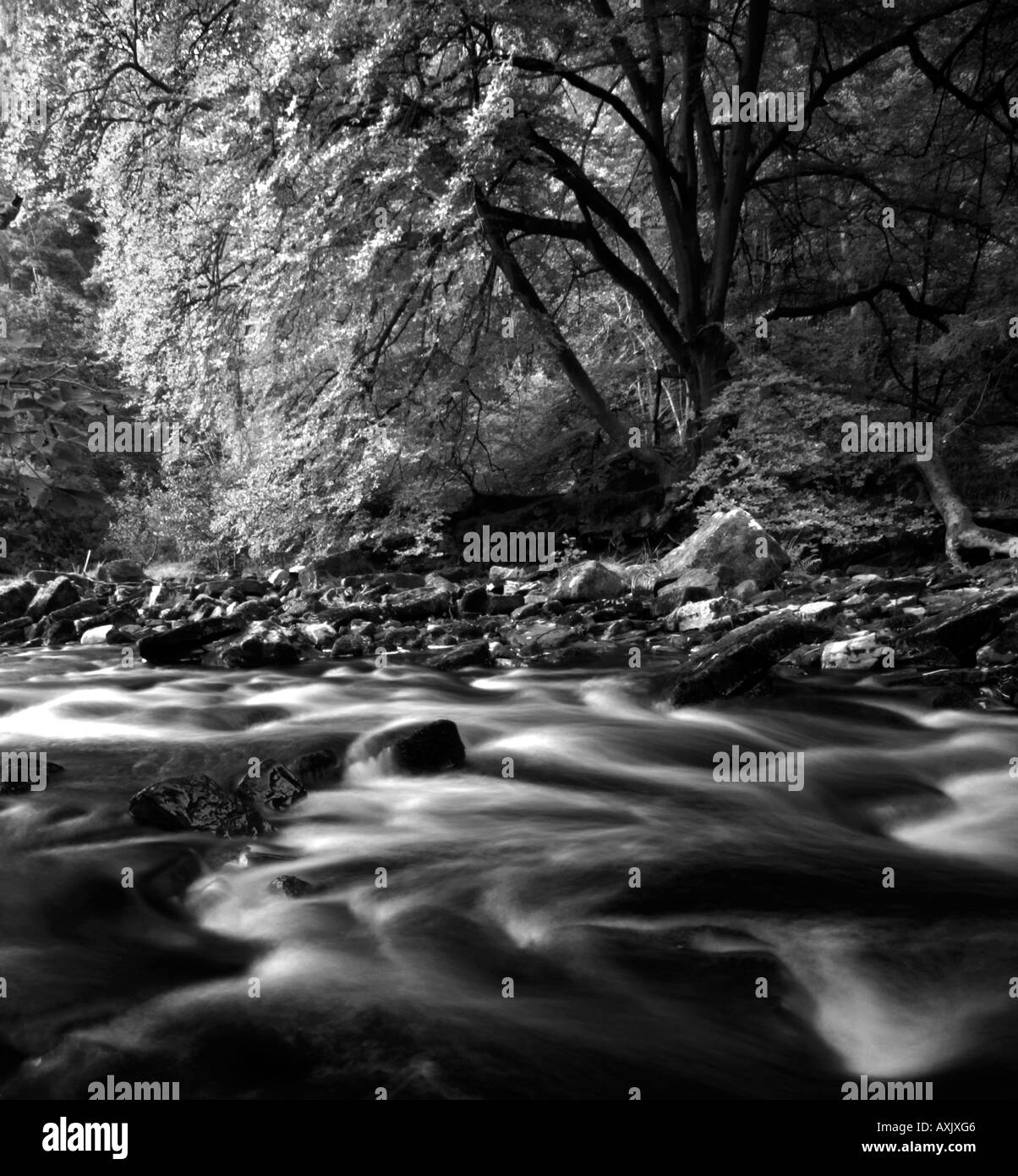 Gilsland Black and White Stock Photos & Images - Alamy