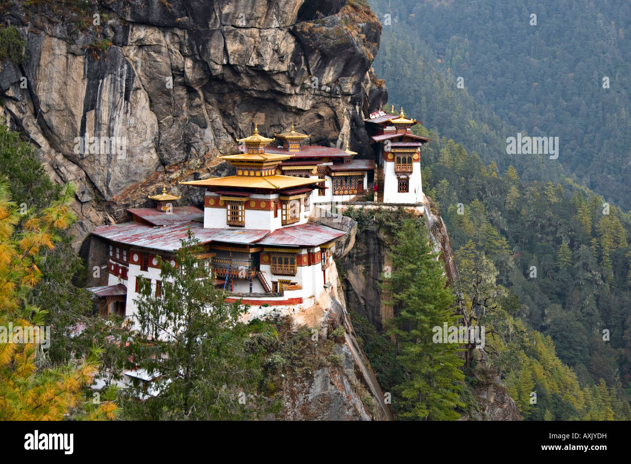 Taktshang (Tiger's Nest) Monastery, Bhutan, Asia Stock Photo - Alamy