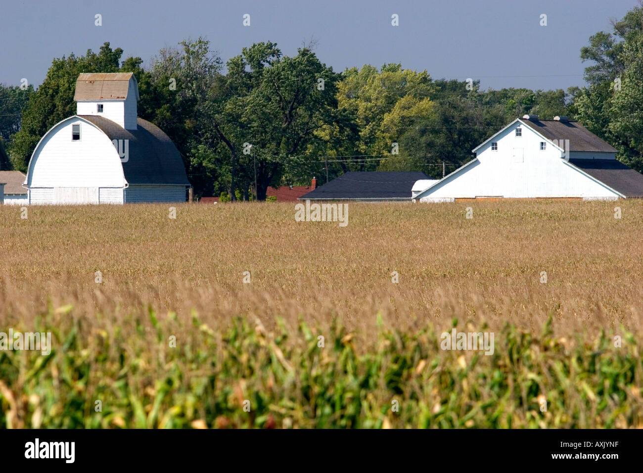 Ladd field hi-res stock photography and images - Alamy