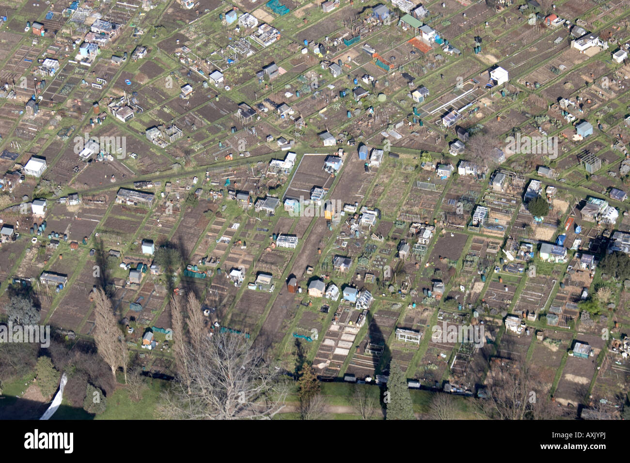 High level oblique aerial view north east of allotments The Warren ...