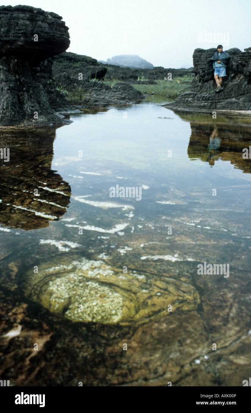 Parque nacional canaima venezuela hi-res stock photography and images ...