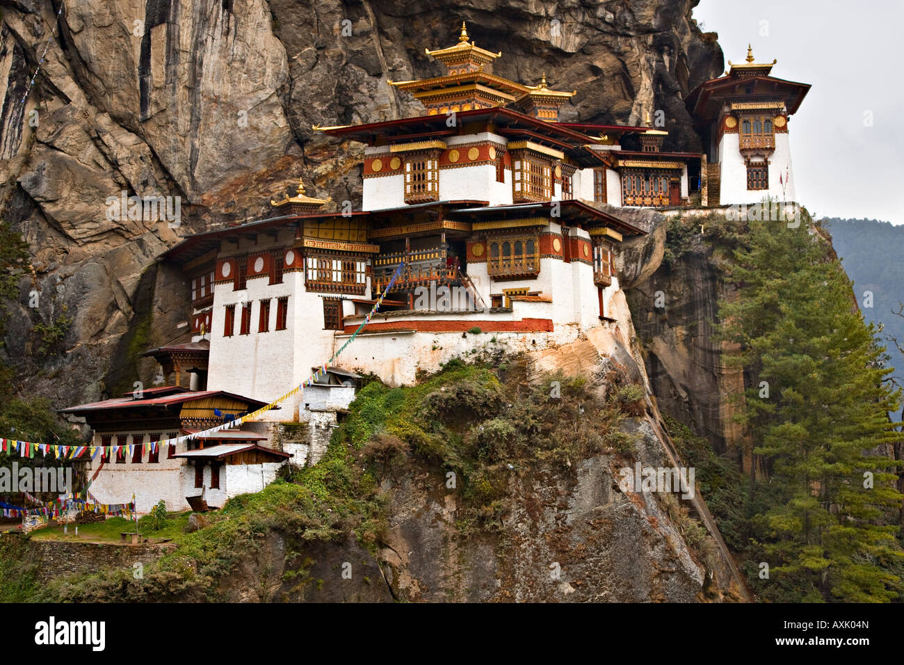 Taktshang (Tiger's Nest) Monastery, Bhutan, Asia Stock Photo - Alamy