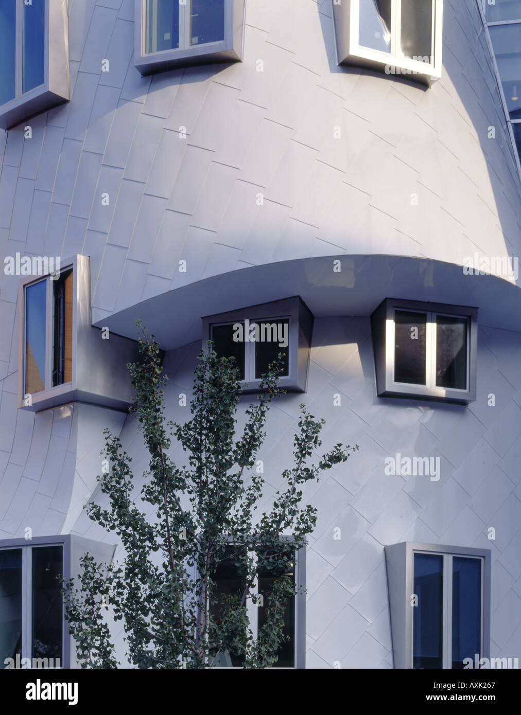 SIMMONS HALL MIT Stock Photo - Alamy