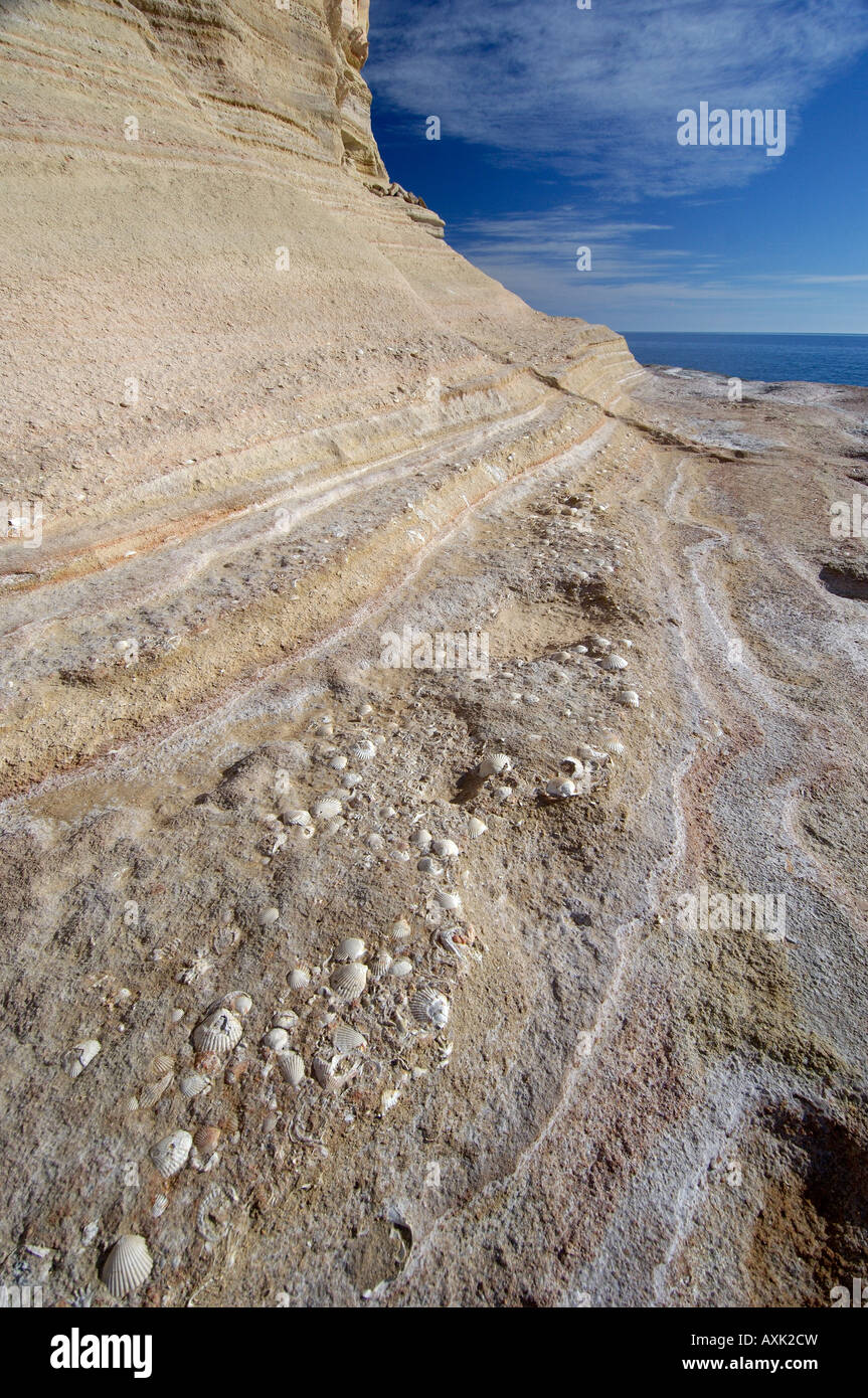 Shells buried in layers of Sandstone Baja California Mexico Stock Photo ...