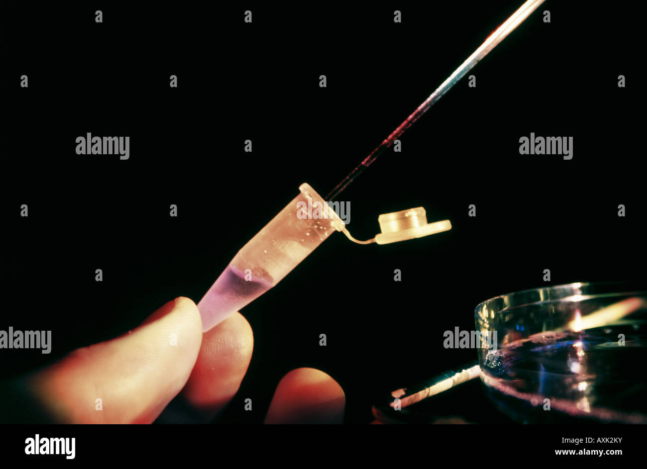 extraction of DNA from sample Stock Photo - Alamy