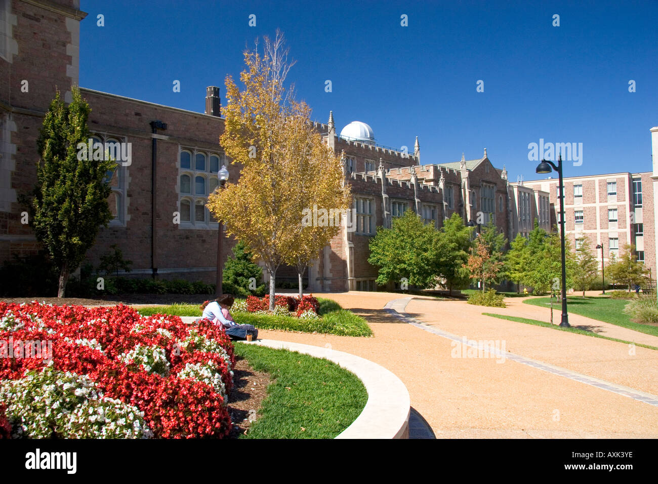 Washington university st. louis hi-res stock photography and images - Alamy