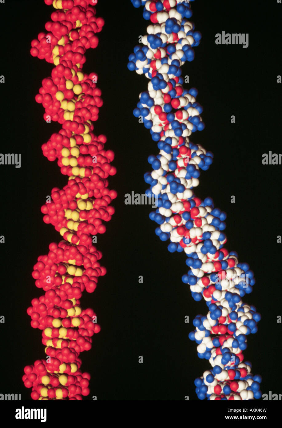 doublestranded DNA DNA helix Stock Photo - Alamy