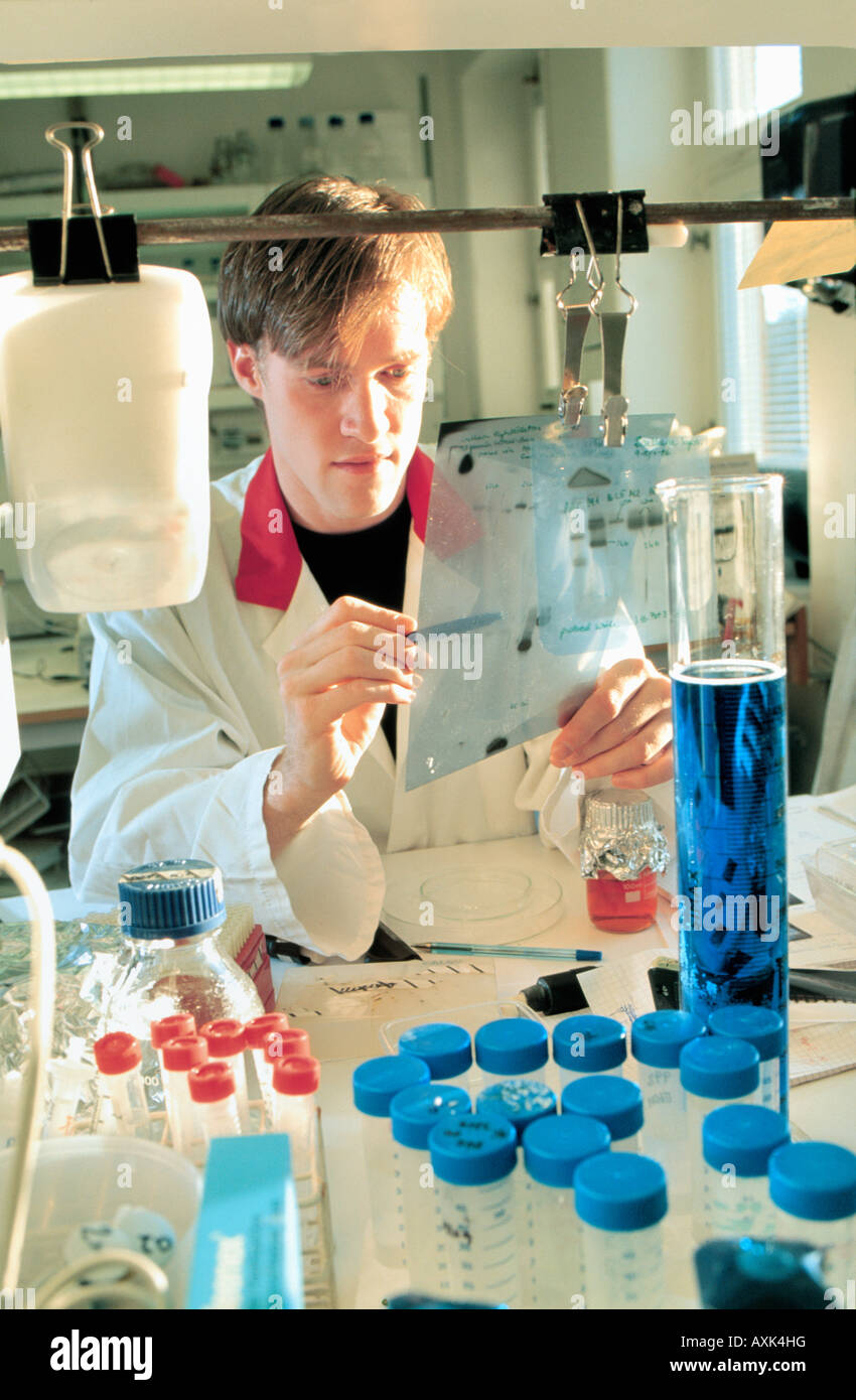 cancer cell research Stock Photo - Alamy