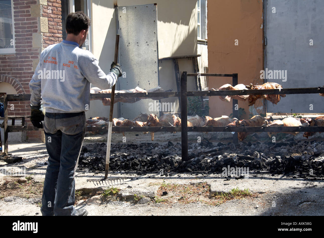 Whole lambs or sheep being barbeque roasted on spit over charcoal for ...
