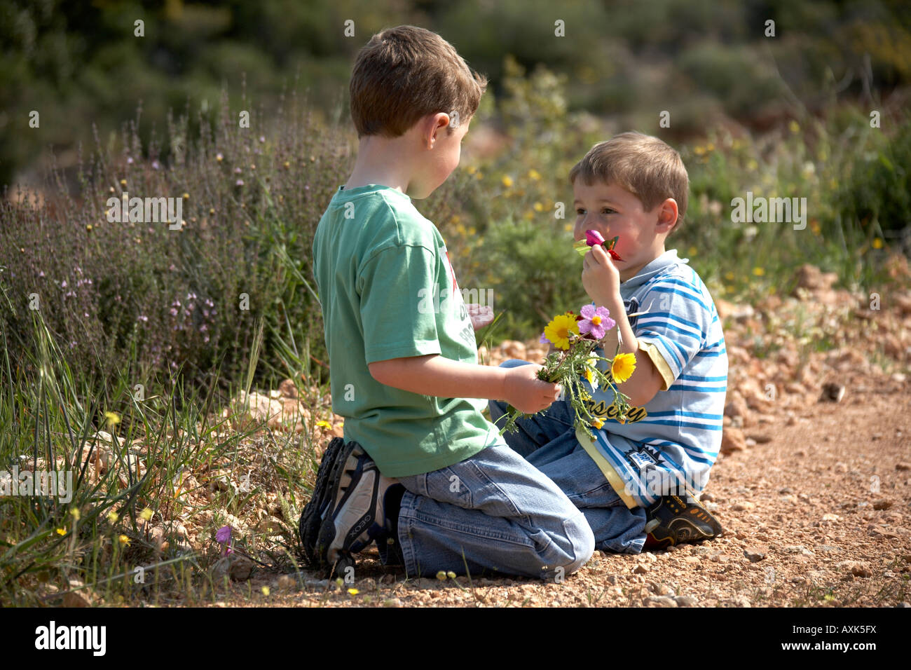 Boy picking flowers hi-res stock photography and images - Alamy