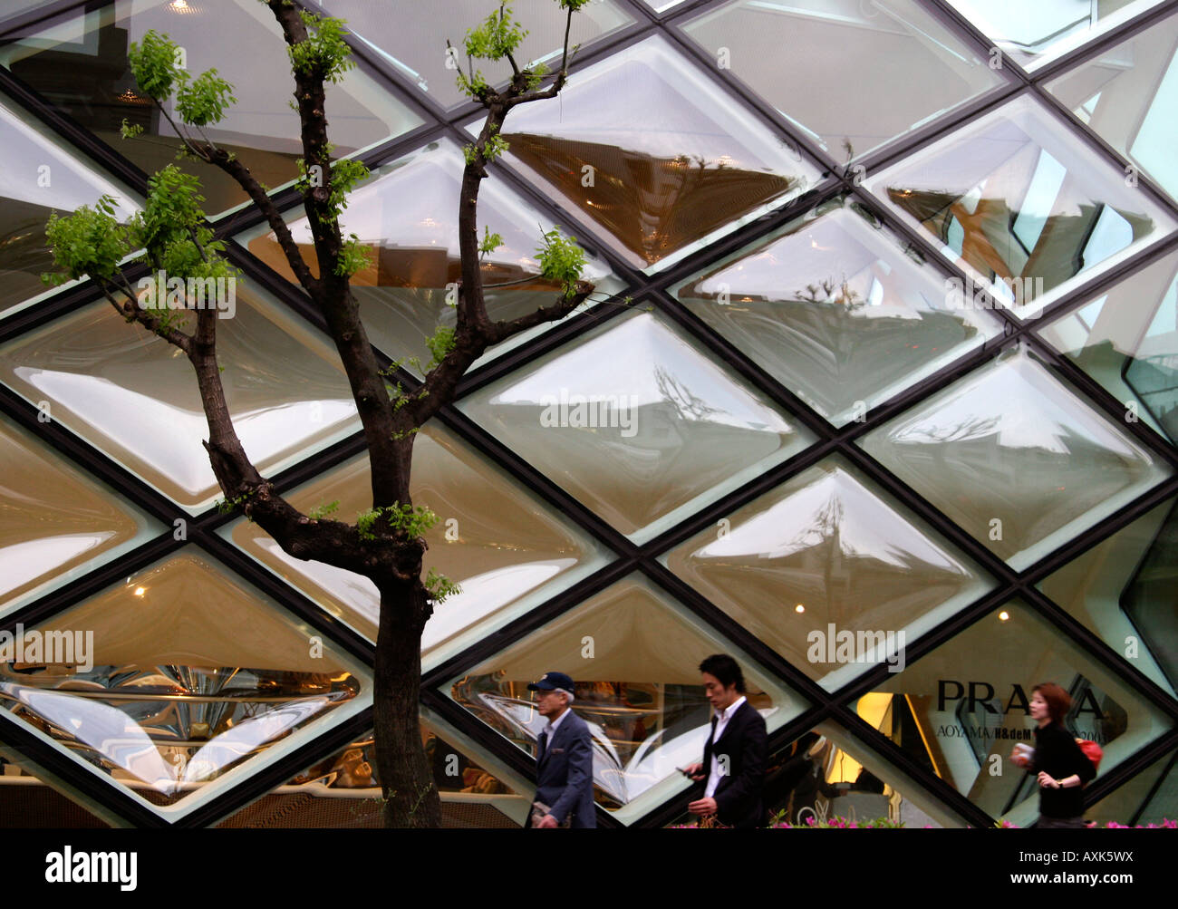 Prada building, Omotesando, Harajuku, Tokyo, Japan Stock Photo - Alamy