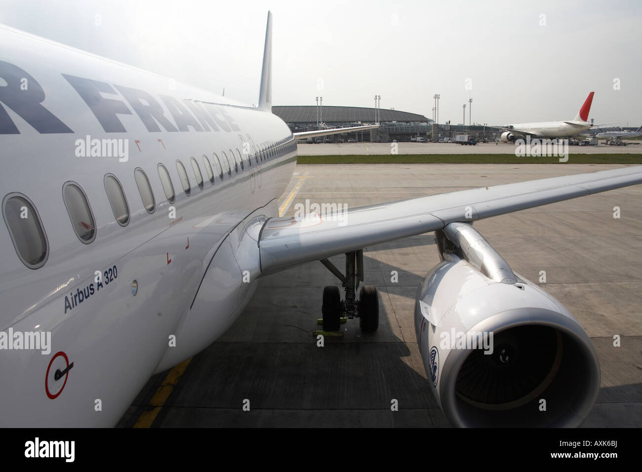 Air France Airbus A320 on apron parked on stand or gate at Charles De ...