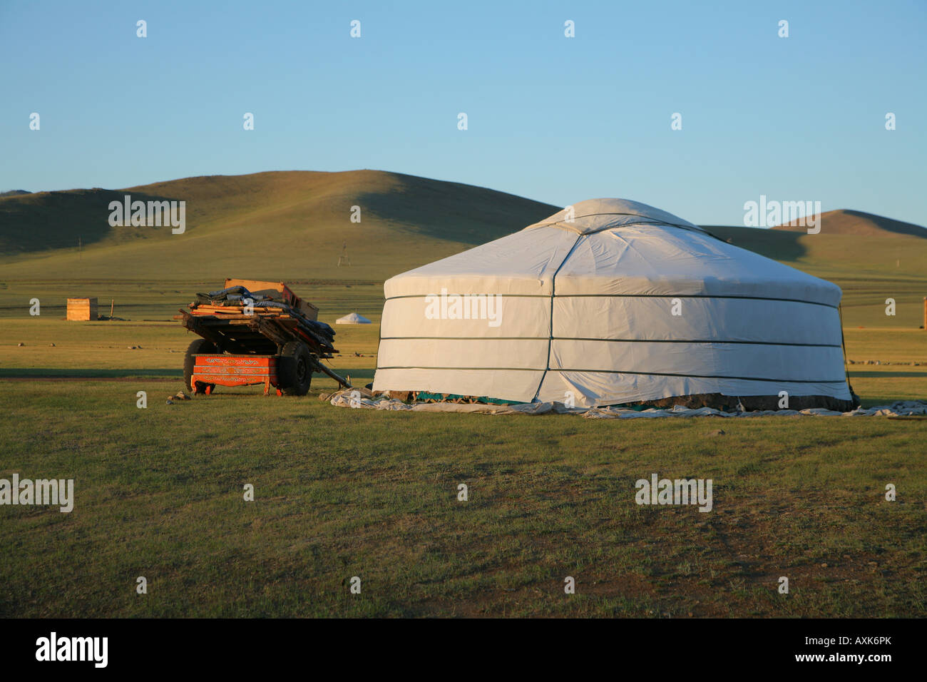 Mongol ger horse hi-res stock photography and images - Alamy