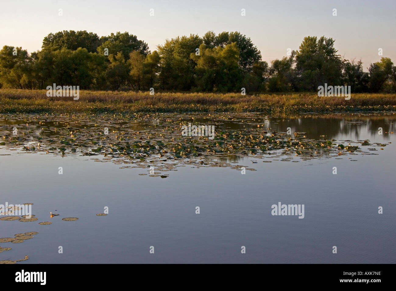 Swan Lake National Wildlife Refuge at Sumner Missouri Stock Photo - Alamy