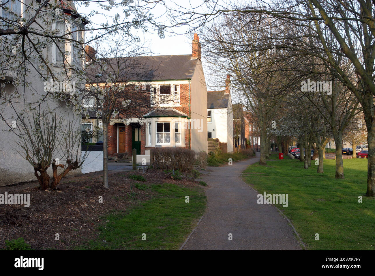 Edwardian terrace houses hi-res stock photography and images - Alamy