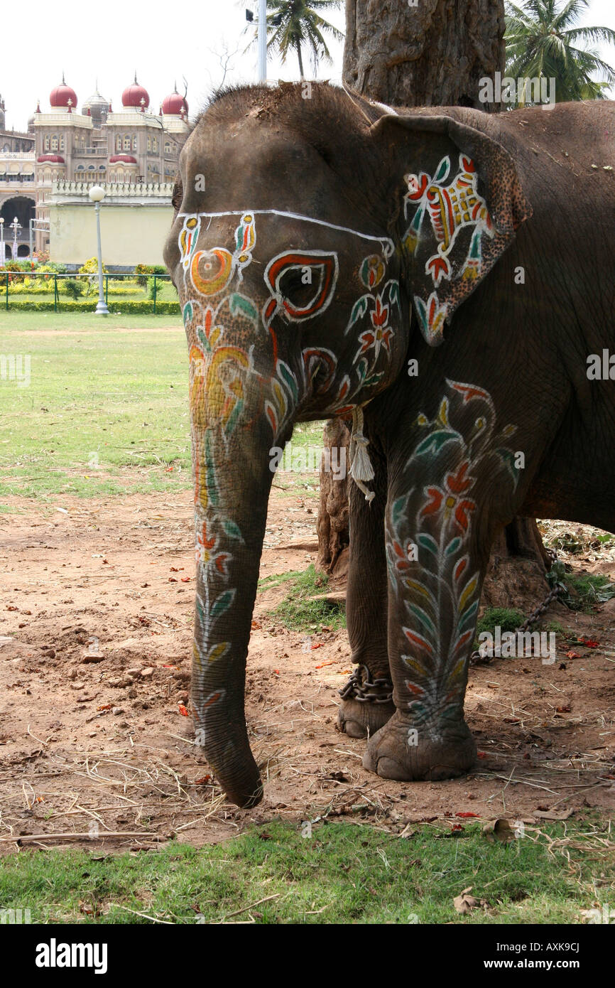 Mysore dasara elephant hi-res stock photography and images - Alamy