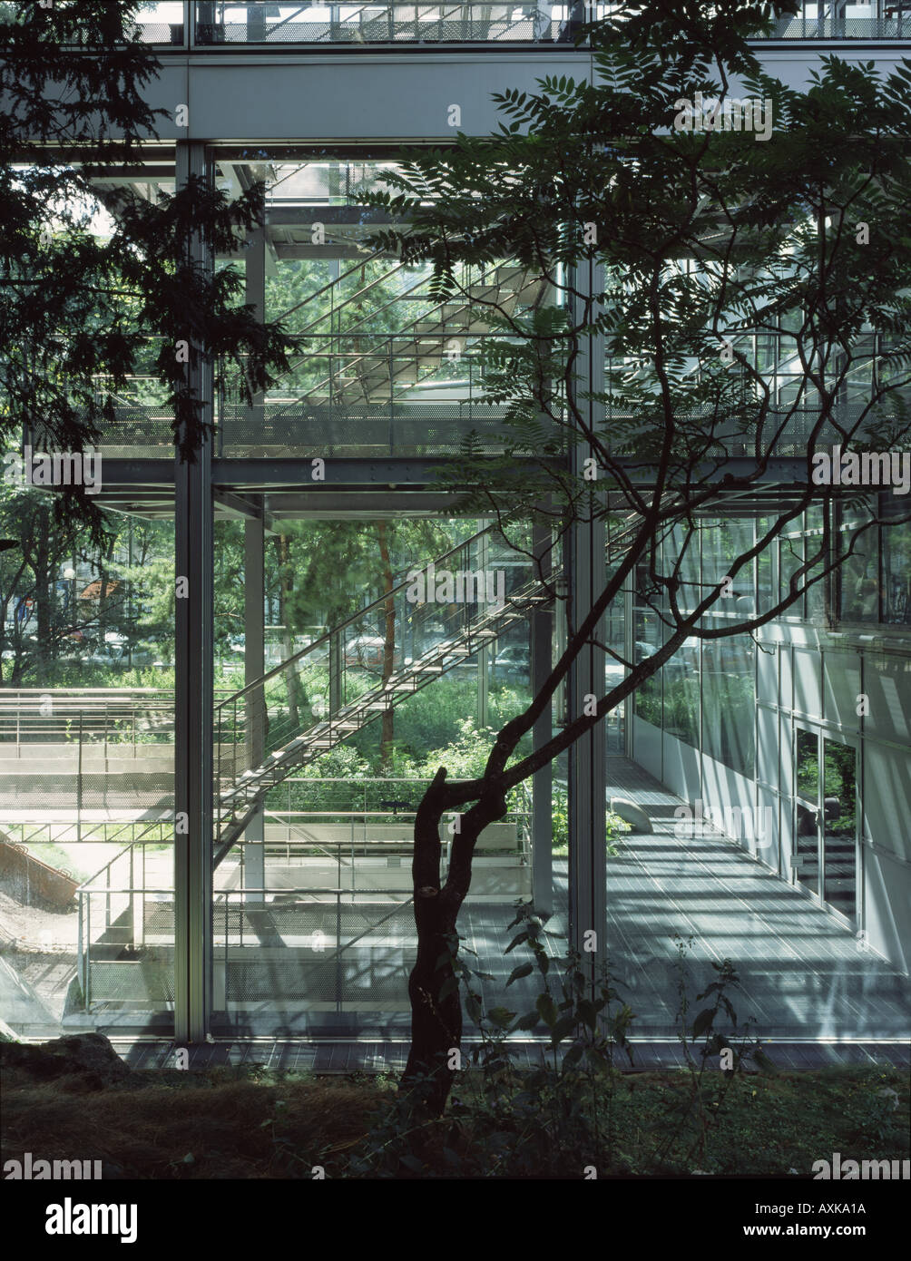 Cartier Foundation High Resolution Stock Photography and Images - Alamy