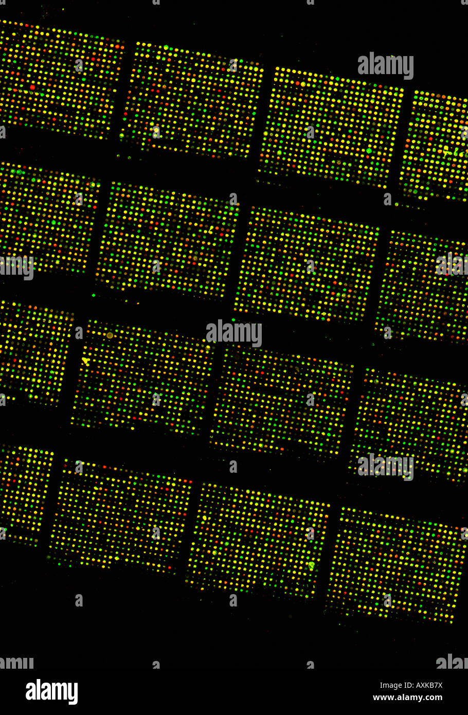 Micro Array DNA Chip, human genome structure Stock Photo - Alamy