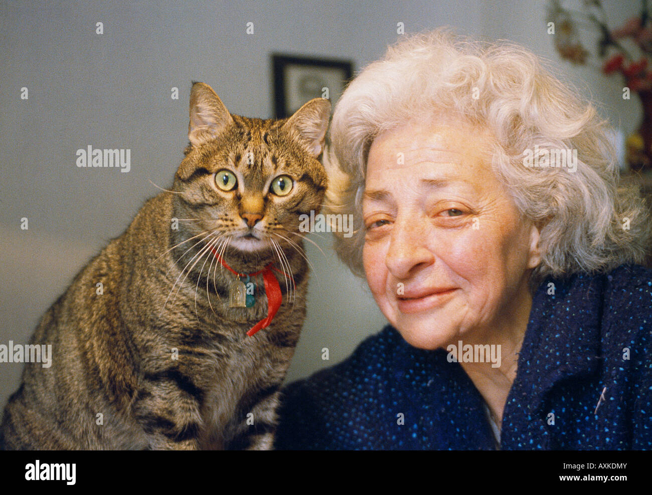 Old woman with her tabby cat Stock Photo - Alamy