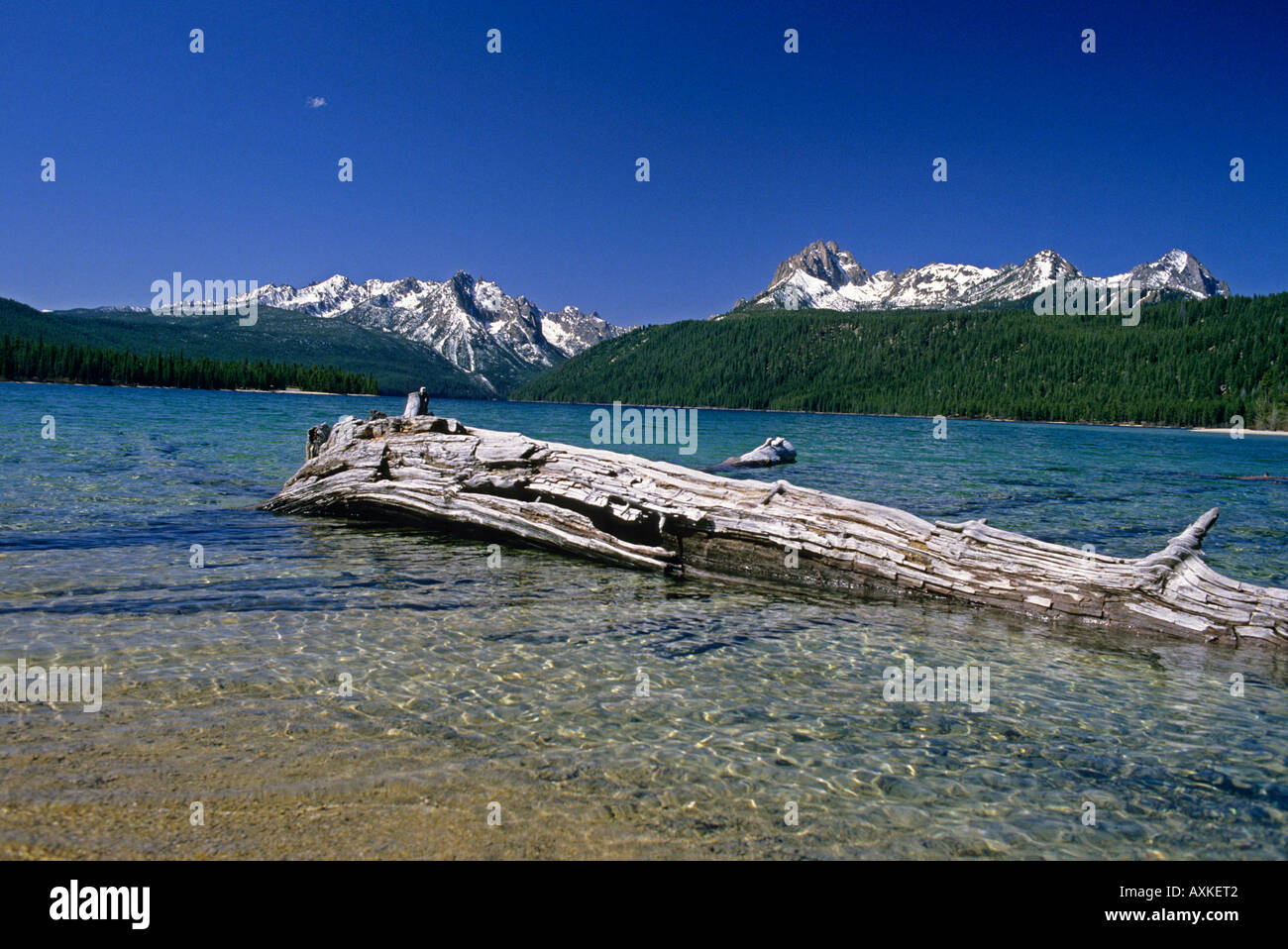 Redfish Lake and the Sawtooth Mountains in Stanley Idaho Stock Photo ...