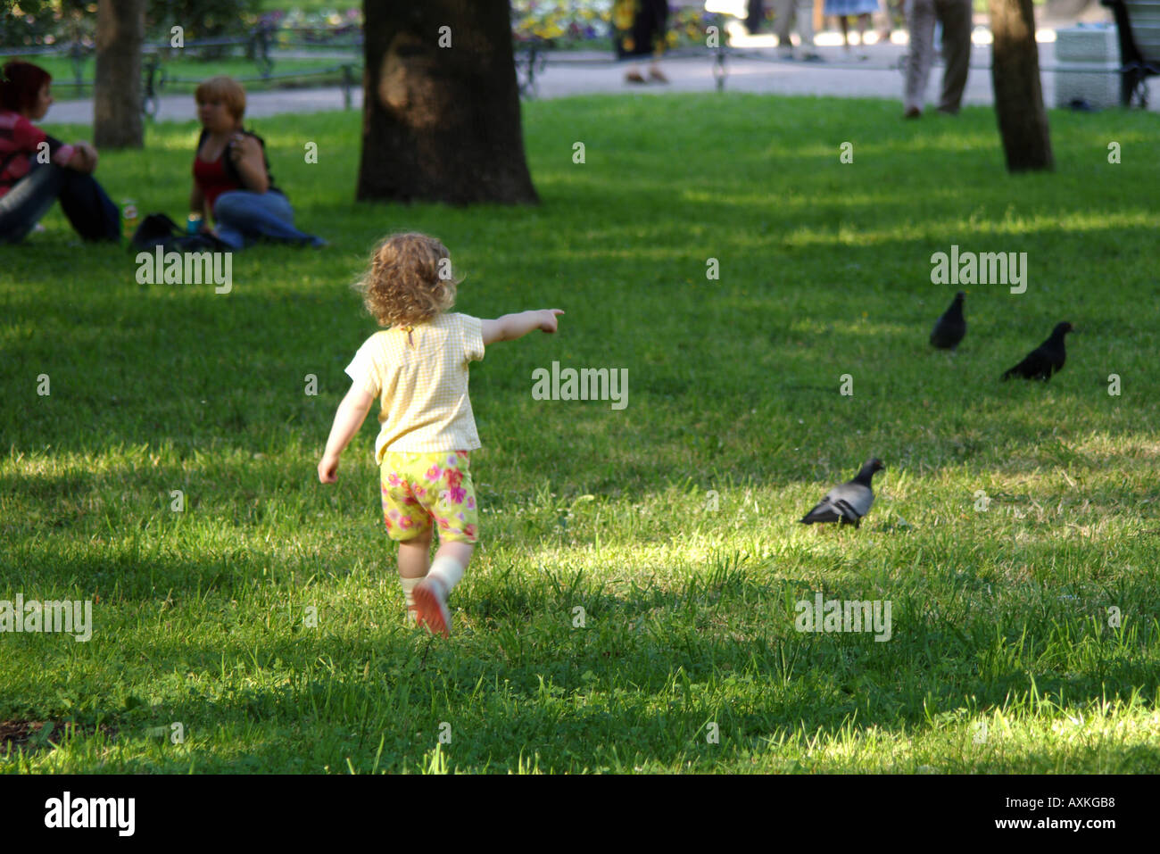 A child chasing pigeons in a park Stock Photo - Alamy