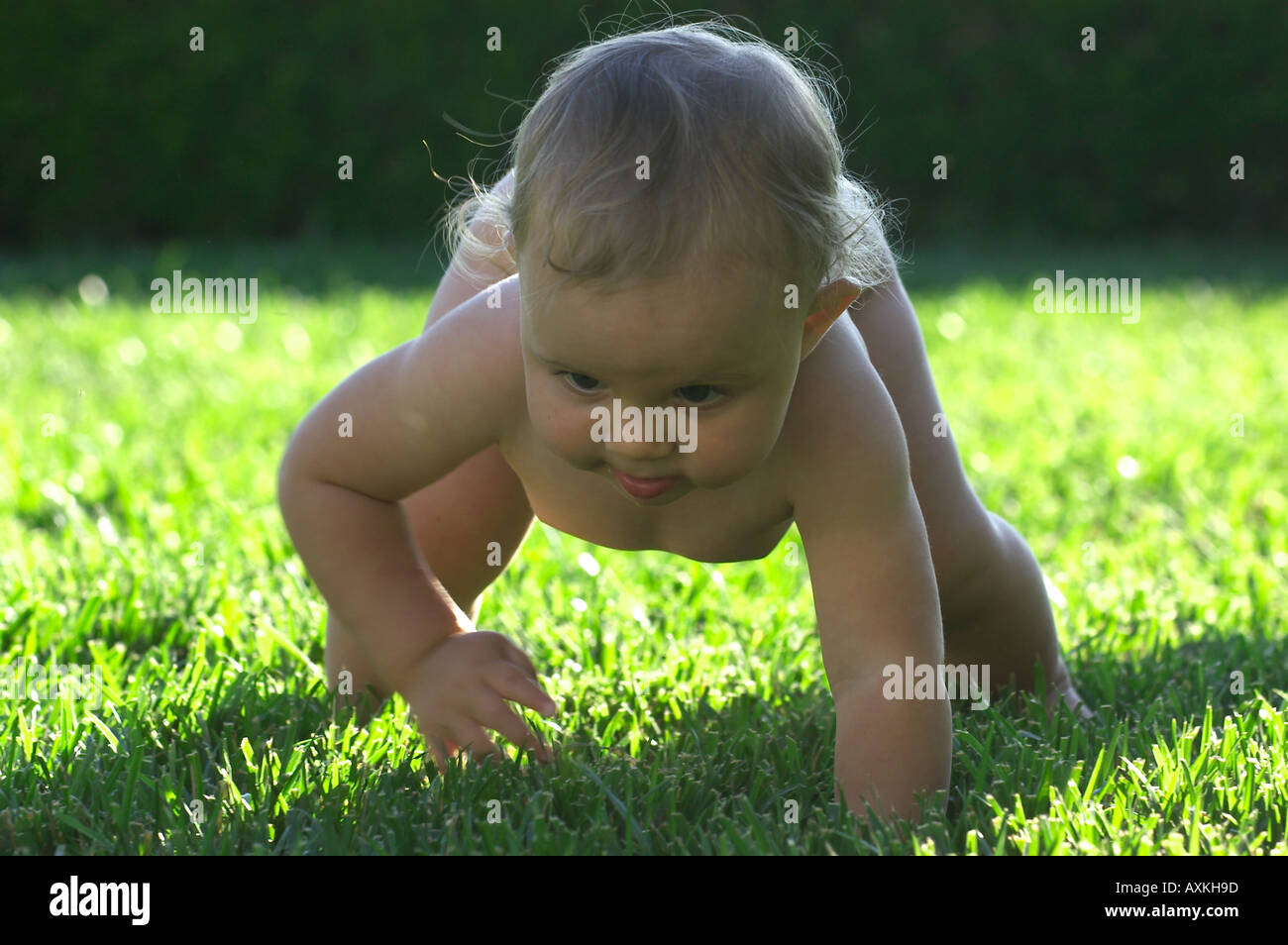 baby crawling on grass Stock Photo - Alamy