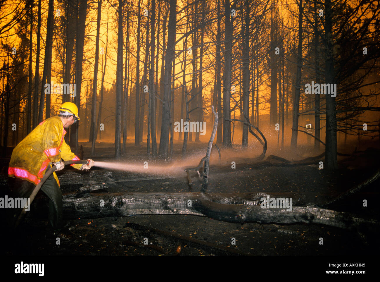Yellowstone fire 1988 hi-res stock photography and images - Alamy