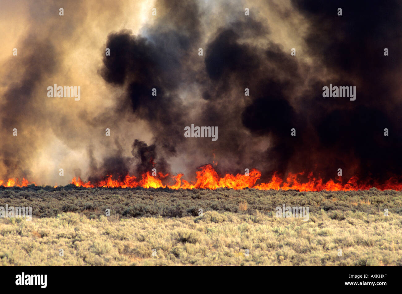 Heat waves distort the flames from a brush fire east of Boise Idaho ...