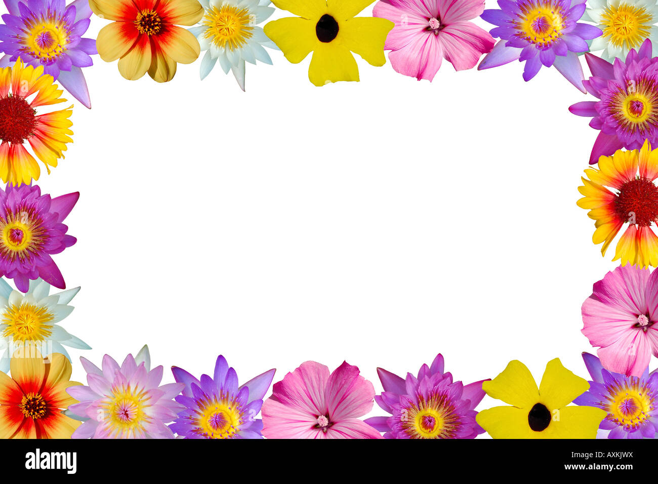 Floral border hi-res stock photography and images - Alamy