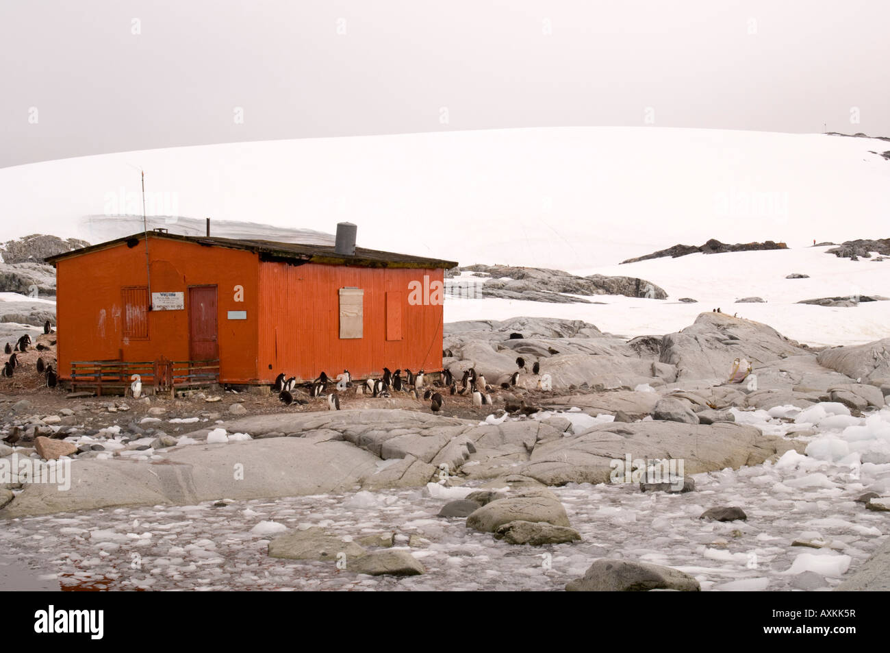 Antarctica Antarctic Peninsula Lemaire Channel Petermann Island ...