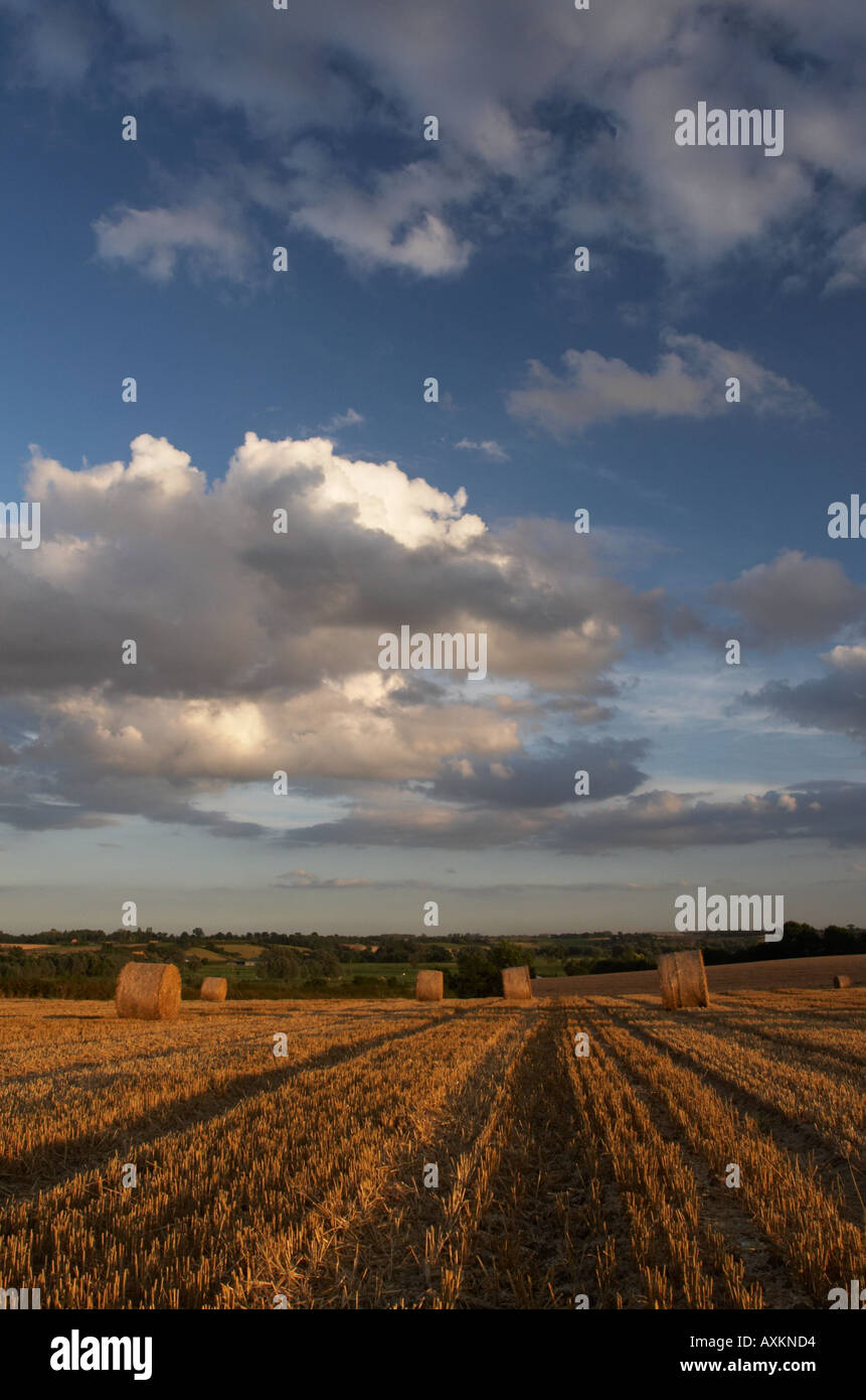 Field tramlines hi-res stock photography and images - Alamy