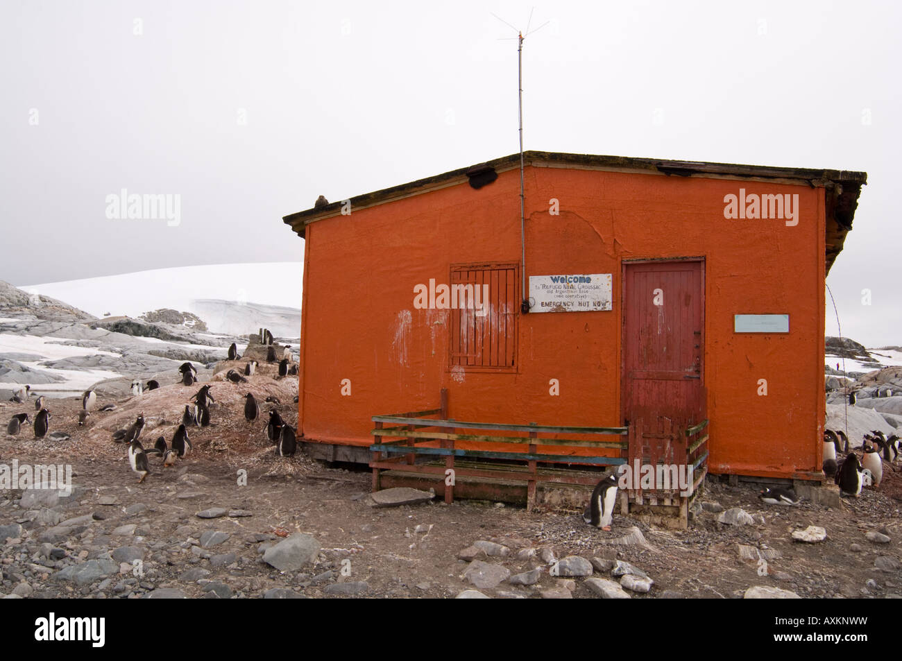 Antarctica Antarctic Peninsula Lemaire Channel Petermann Island ...