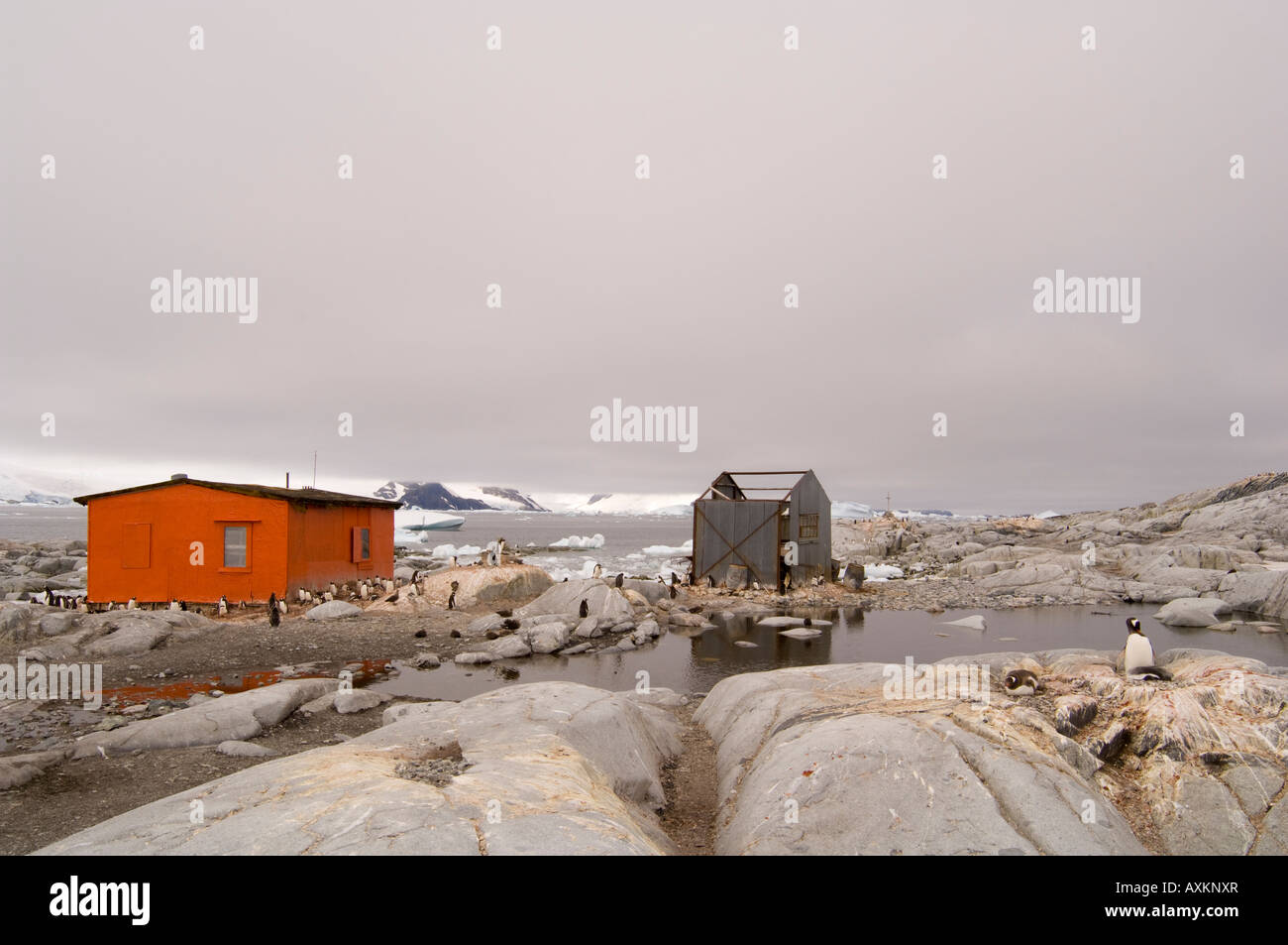 Antarctica Antarctic Peninsula Lemaire Channel Petermann Island ...
