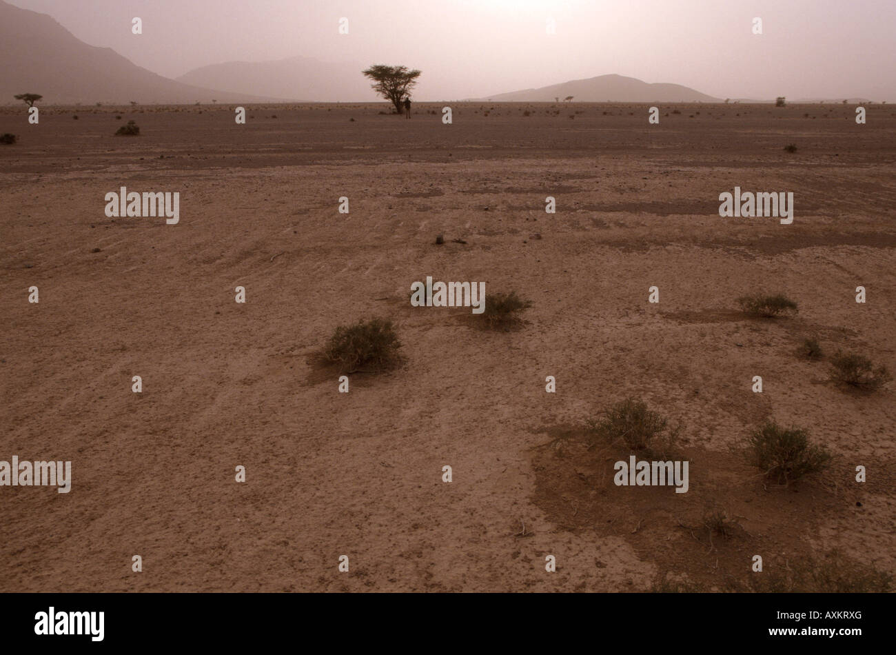 Sand storm near Icht Anti Atlas Morocco Stock Photo - Alamy