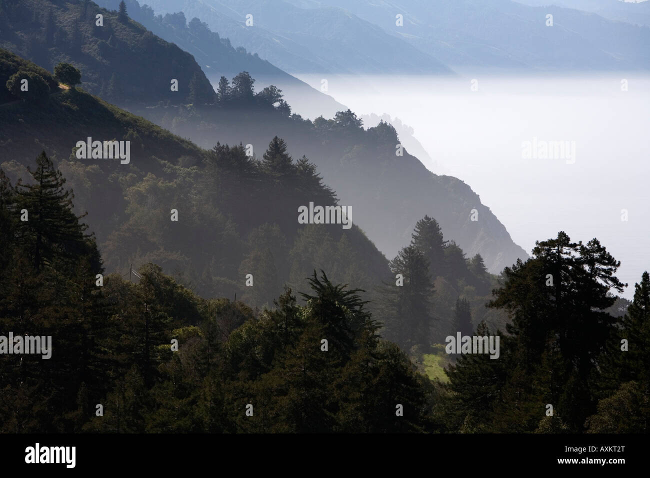 Fog lifting, Big Sur Coast, California Stock Photo - Alamy