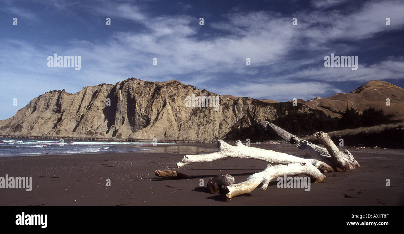 Tolaga Bay in the North Island of New Zealand Stock Photo - Alamy