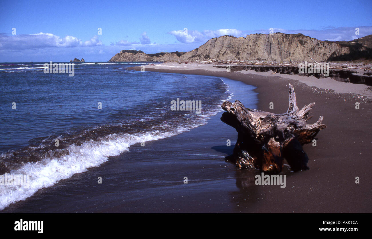 Tolaga Bay in the North Island of New Zealand Stock Photo - Alamy