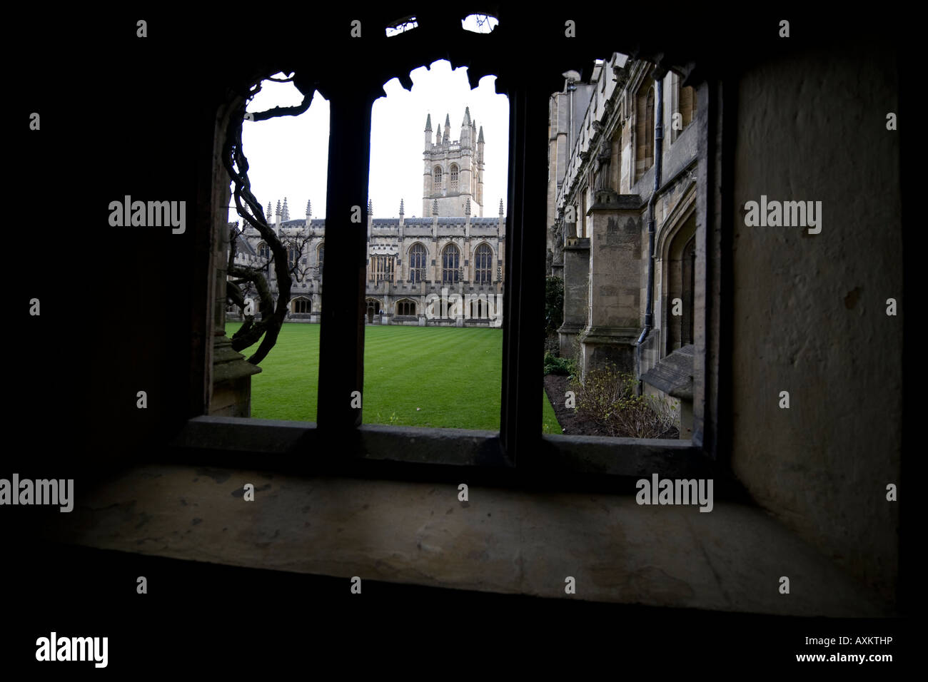 Magdalen College Tower through cloister window Stock Photo - Alamy