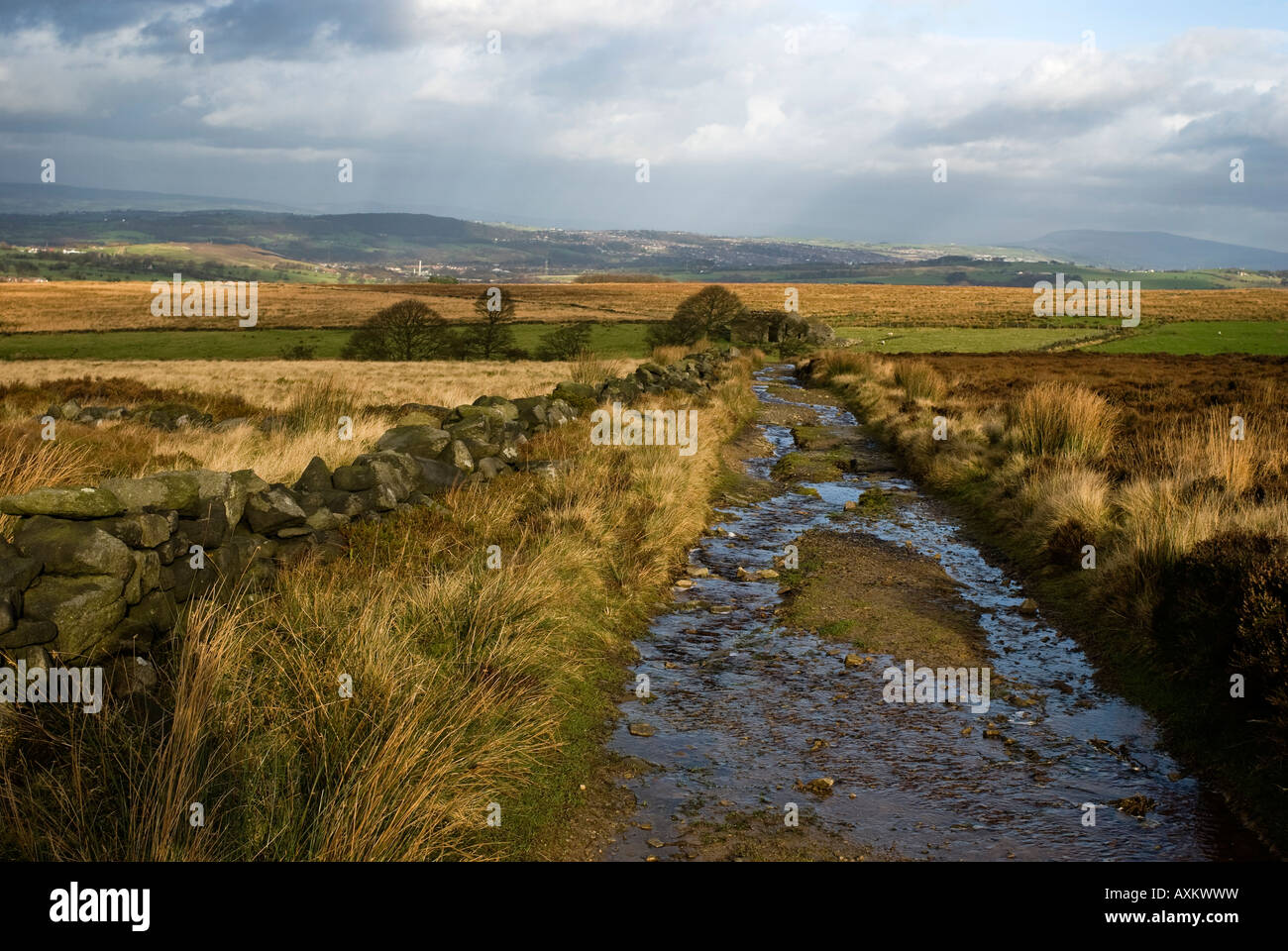 Wheelton moor hi-res stock photography and images - Alamy