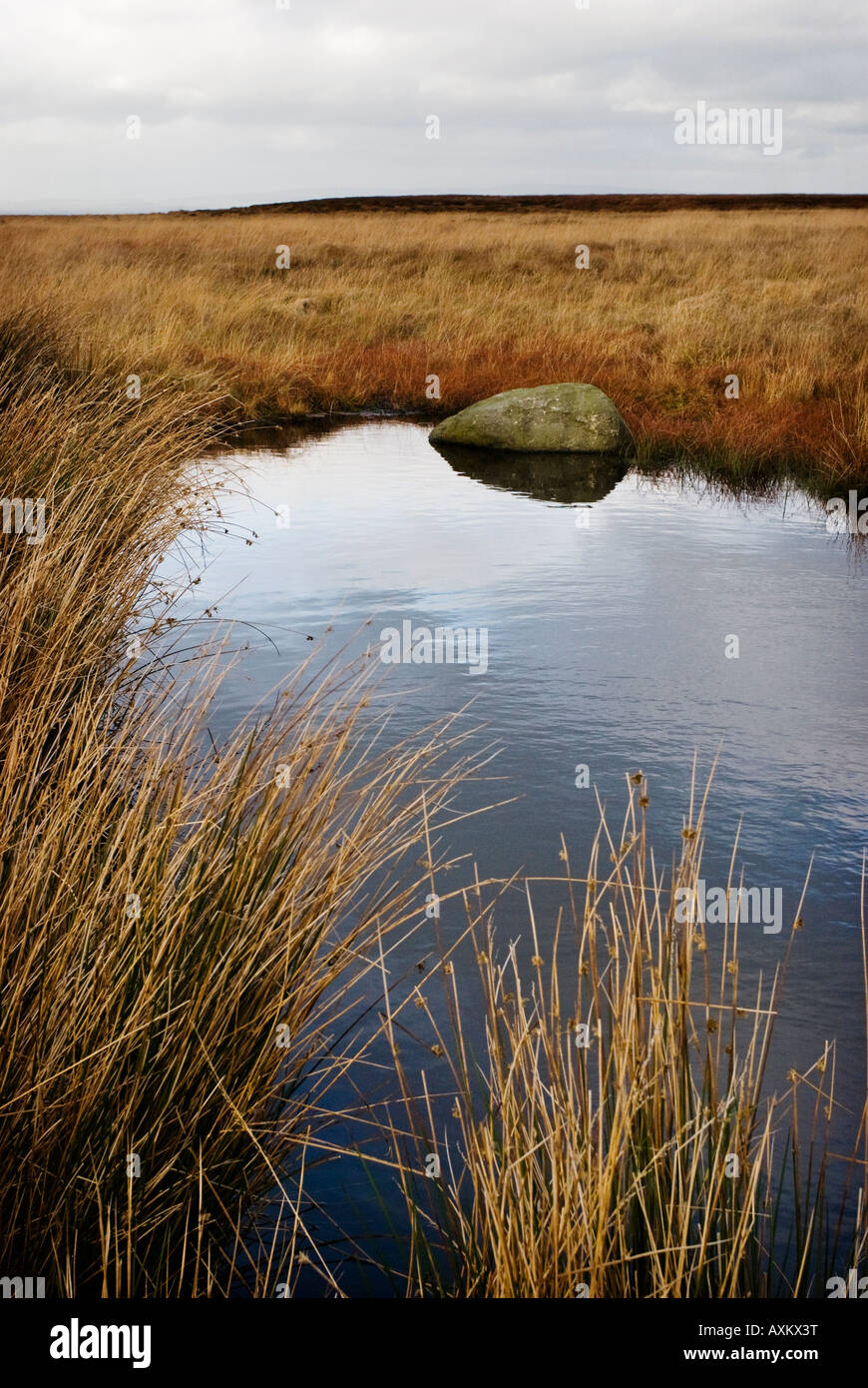 Wheelton hi-res stock photography and images - Alamy